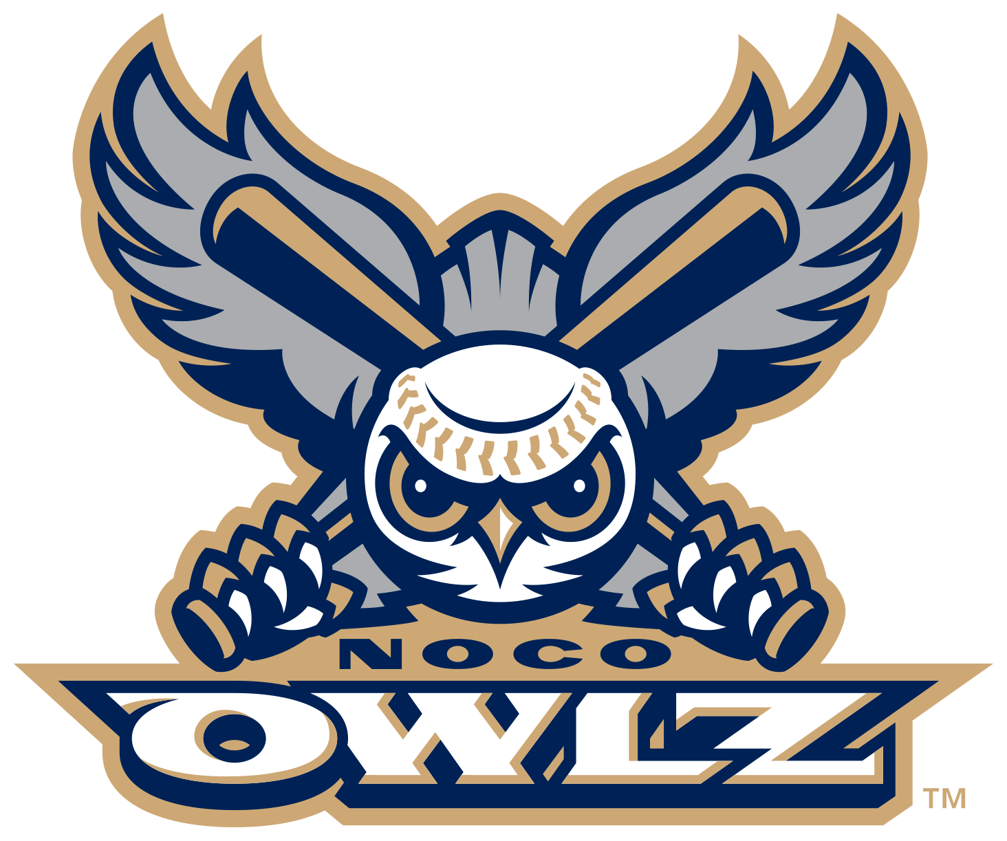 Catcher Omar Veloz Signs with Owlz for 2025 - OurSports Central